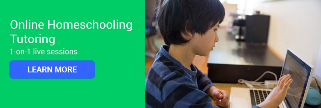 Homeschooling Support - Remote Classroom